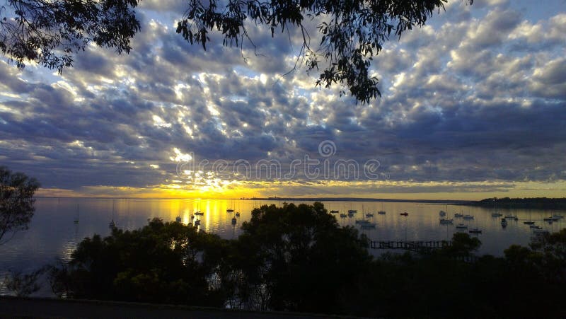 Sunrise Corio Bay stock photo. Image of corio, sunrise - 66389684