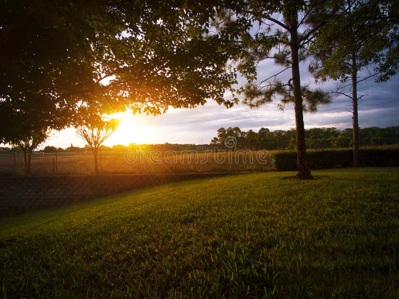 Sunrise in the country stock photo. Image of rural, grass - 95723748