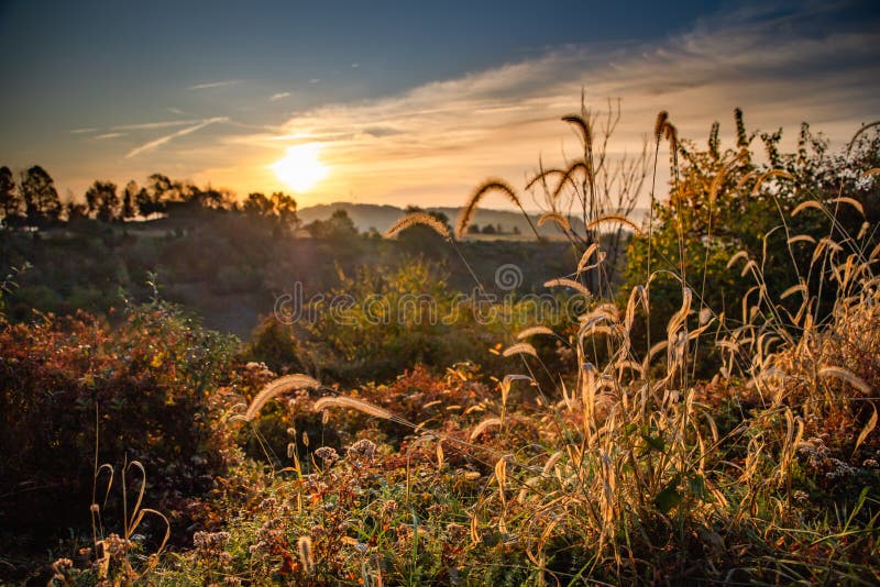 Sunrise on a Country Hillside in Autumn Stock Image - Image of ...
