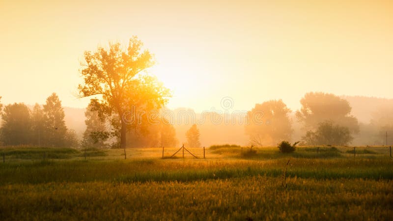 Sunrise in the countryside stock image. Image of sunbeams - 184693267