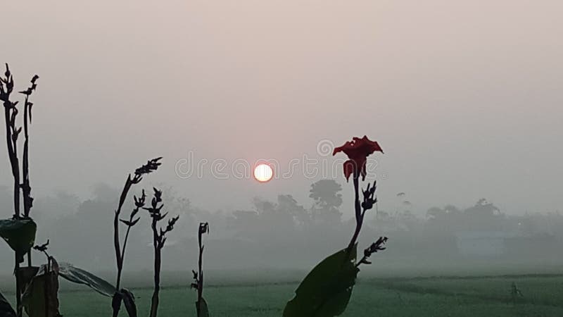Sunrise stock photo. Image of sunrise, greenary, chitwan - 104965252