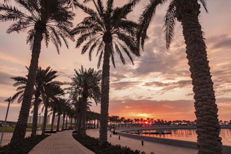 The sunrise in Doha, Qatar stock photo. Image of doha - 113092456