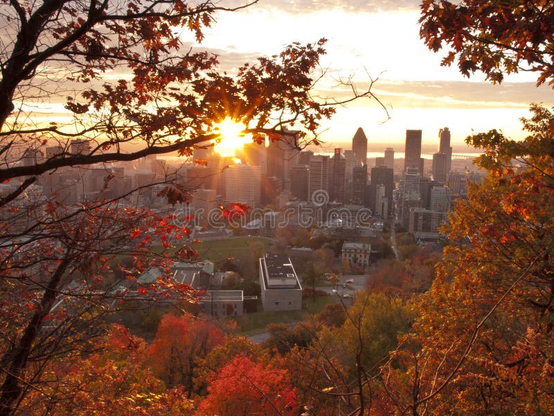 Sunrise at fall stock photo. Image of city, river, leaves - 16518018