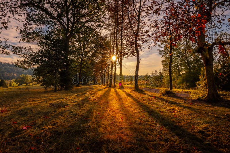 Sunrise in the fall. stock photo. Image of branch, sunrise - 338892904