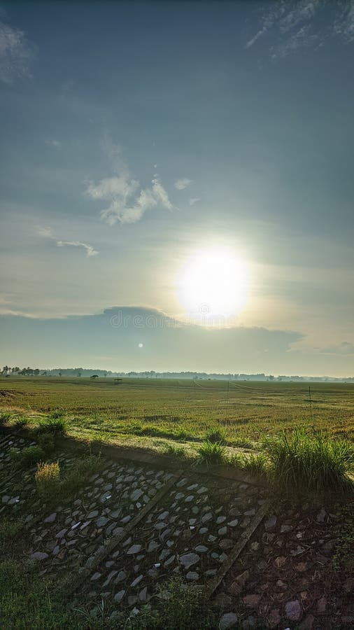 Sunrise at farm area stock photo. Image of grass, river - 262719548