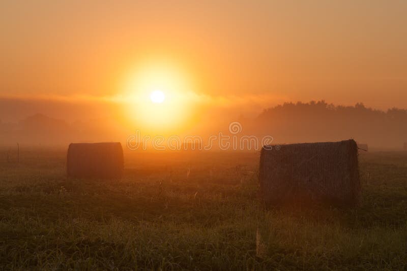 Country Sunrise stock photo. Image of green, colors, calm - 48504836