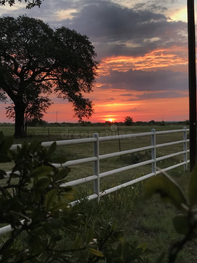 Early morning Farm Yard stock photo. Image of mission - 24794334