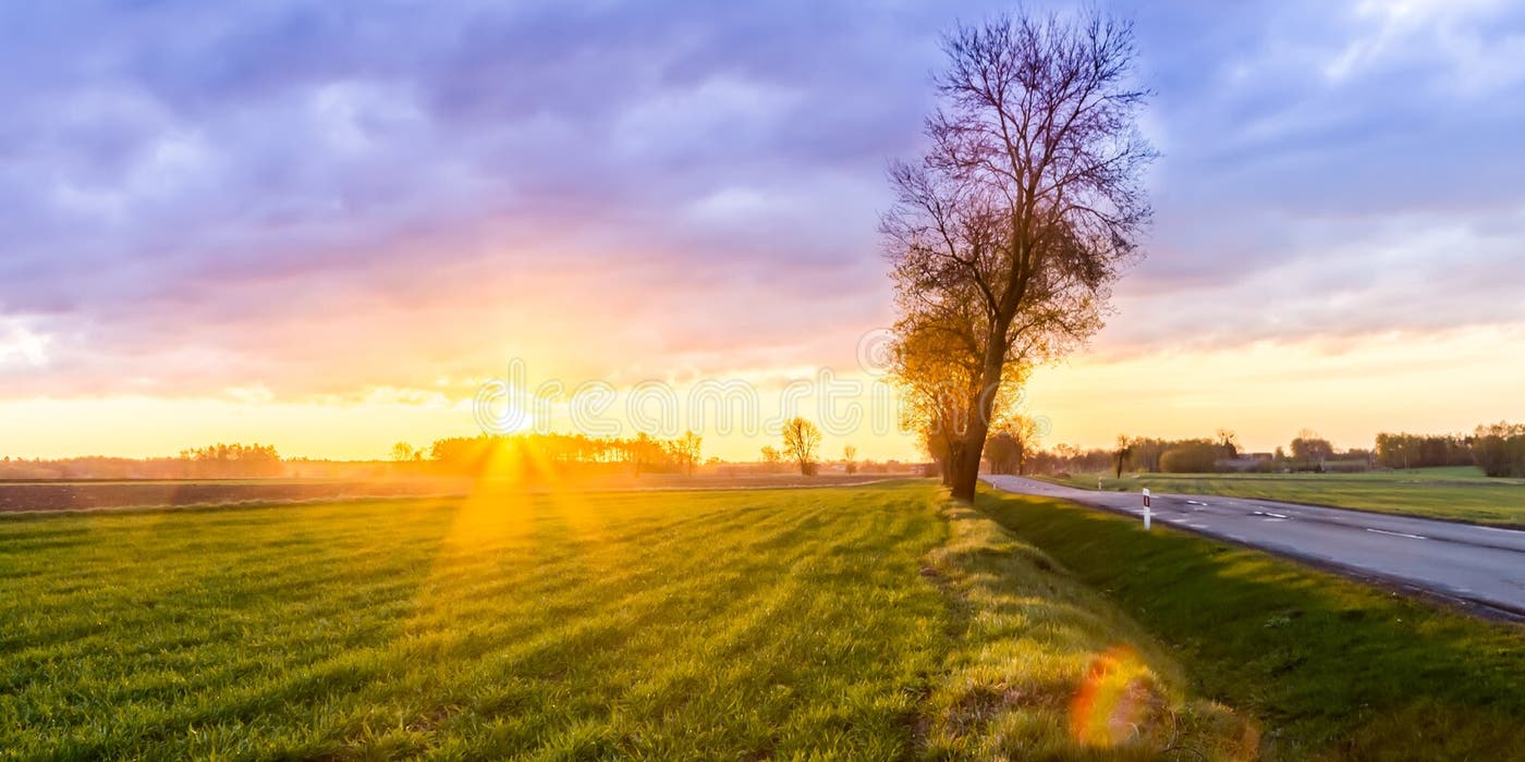 Tree Tiff Stock Photos - Free & Royalty-Free Stock Photos from Dreamstime