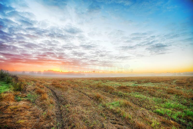 Sunrise with Fog on the Fields in Texas Stock Image - Image of dramatic ...