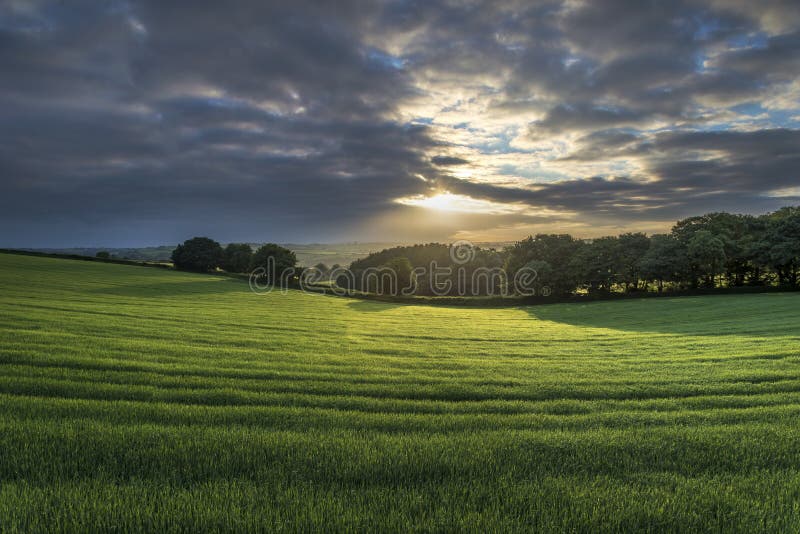 Sunrise in the Fields, Cornwall, Uk Stock Image - Image of beautiful ...
