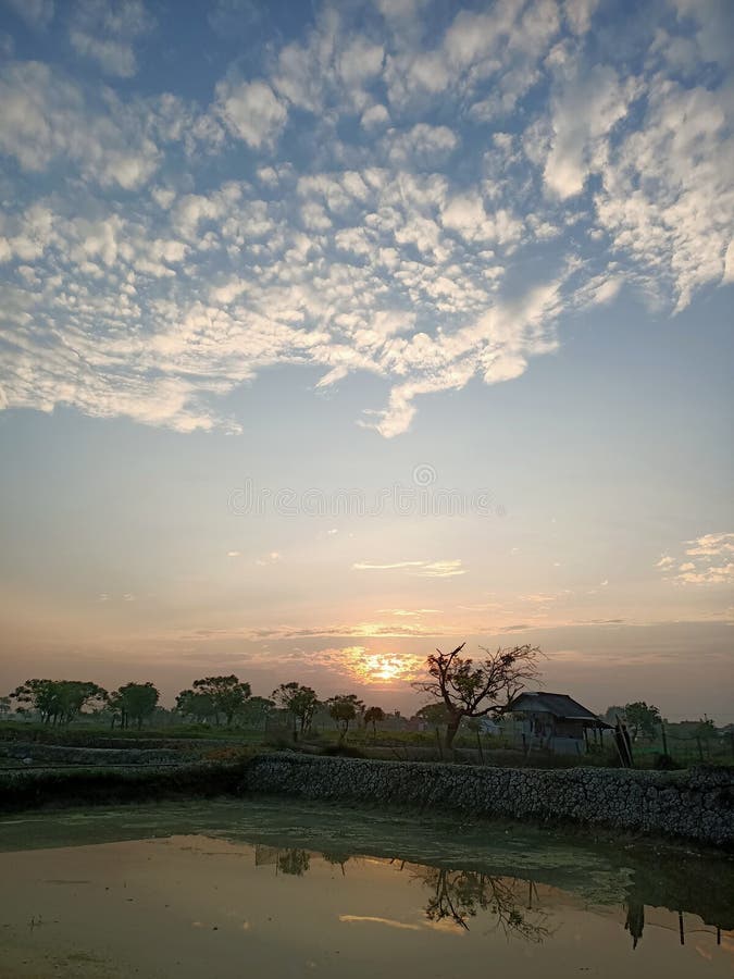 Sunrise on fish farm pond stock photo. Image of unrise - 253656464
