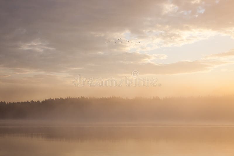 Sunrise at foggy lake stock photo. Image of still, scenery - 88620798