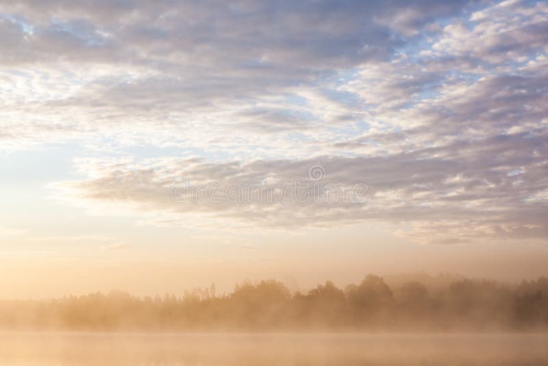 Sunrise at foggy lake stock photo. Image of tranquil - 88865398