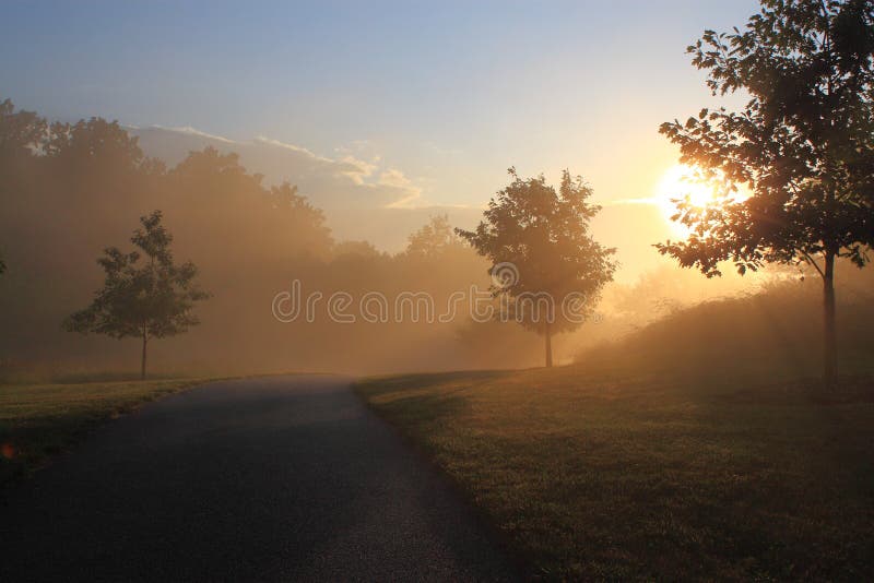 Sunrise in Foggy Morning stock photo. Image of landscape - 19954298
