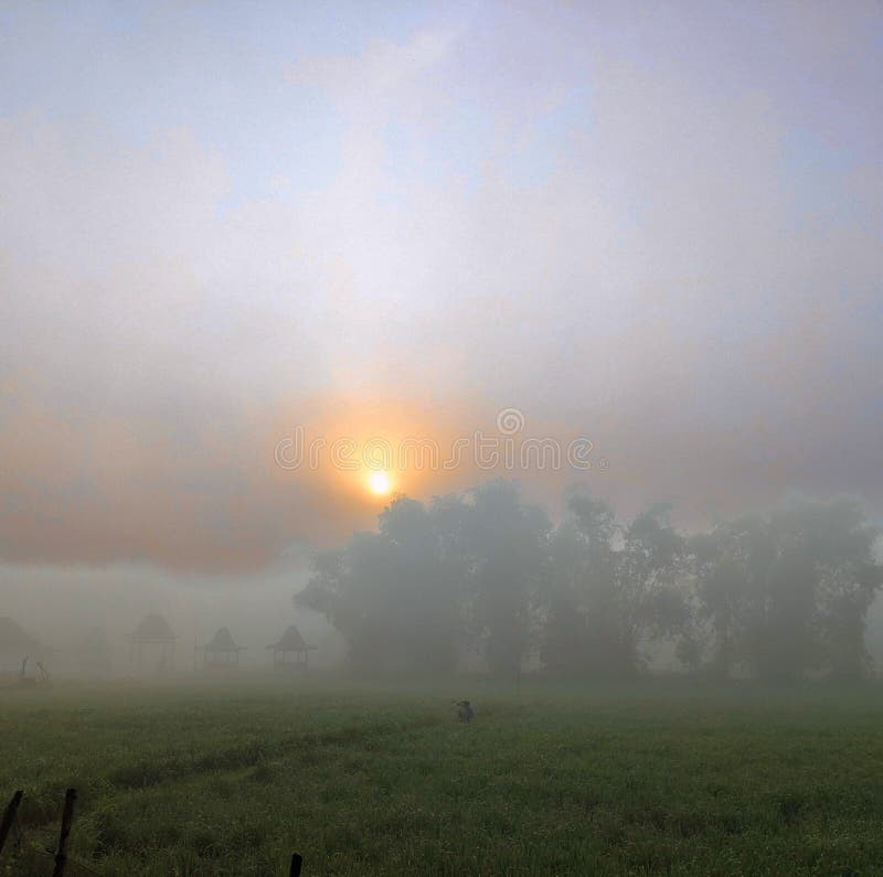 Sunrise at Foggy Morning Cloud Stock Photo - Image of cloud, sunrise ...