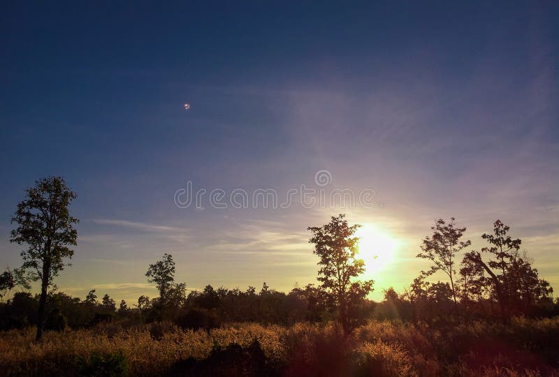 Sunrise 14 stock image. Image of color, daybreak, forest - 45363721
