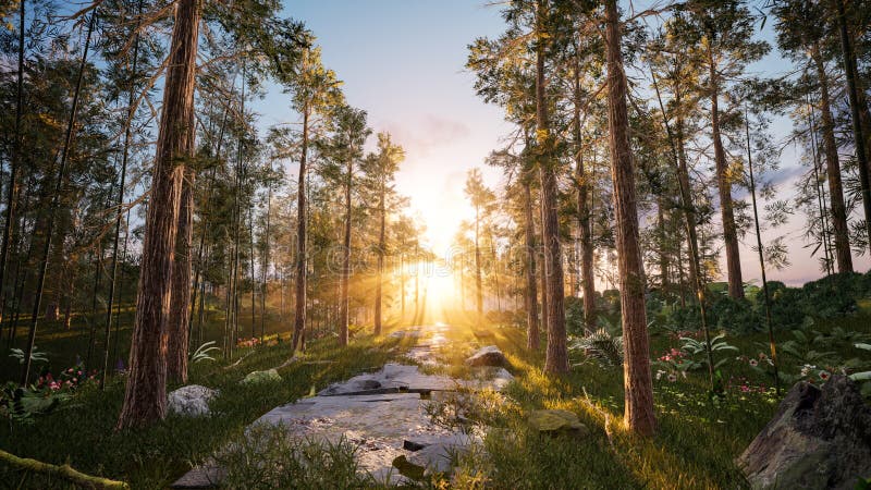 Sunrise in the Forest Path with Beautiful Sun Ray Stock Image - Image ...