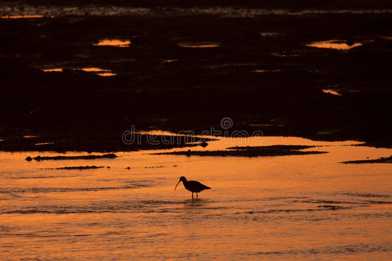 Sunrise at Four Mile Bridge Stock Image - Image of north, reflection ...