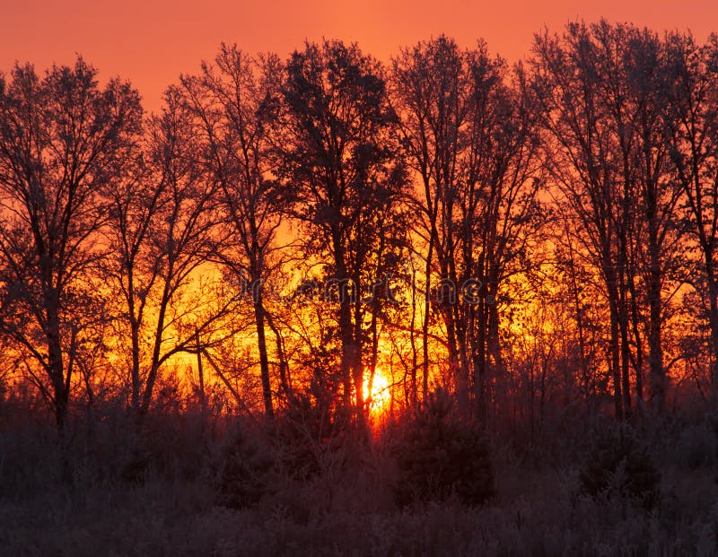 Sunrise on a Frosty Morning Stock Photo - Image of frosty, landscape ...