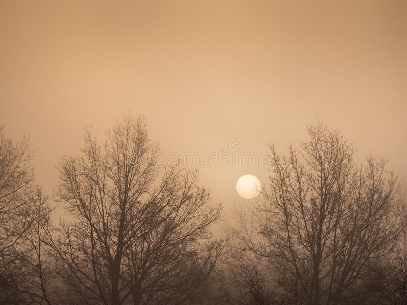Sunrise on a Frosty Morning Stock Image - Image of bench, frosty: 37735537
