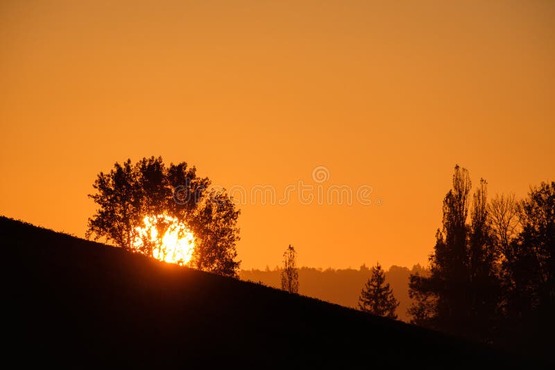 Sunrise Huge Sun Behind a Tree and Hill Landscape Stock Photo - Image ...