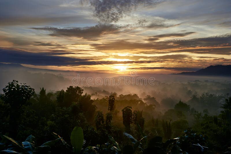 Sunrise in Indonesia stock photo. Image of tree, borobodur - 81909928