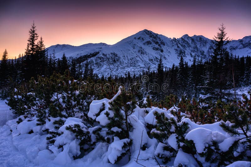 Sunrise InTatra Mountains at Snowy Winter. Poland Stock Image - Image ...