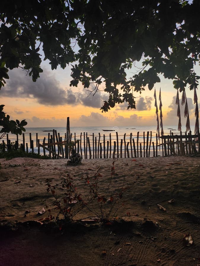 Sunrise Jambiani Beach Zanzibar Stock Image - Image of beach, jambiani ...