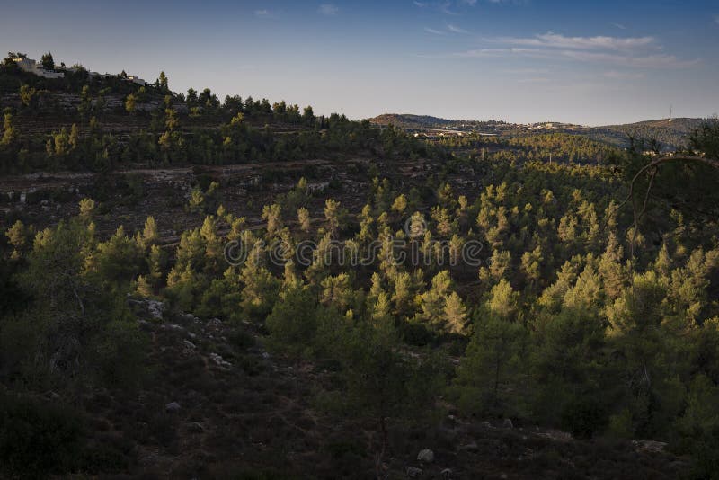 Sunrise in the Jerusalem Mountains Stock Photo - Image of fall ...