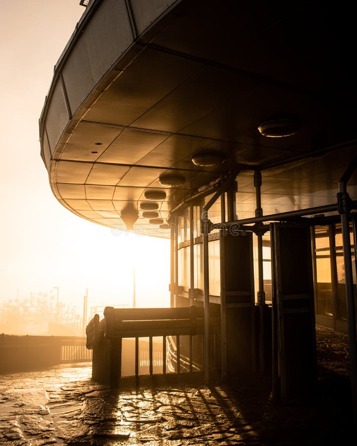 Sunrise on a Jested. the Rays of the Sun Shining through the ...