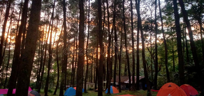 The Sunrise at Kakek Bodo Camping Ground Stock Image - Image of kakek ...