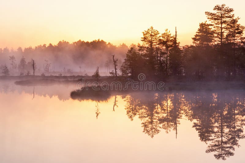Sunrise at the lake stock photo. Image of daybreak, edge - 41685424