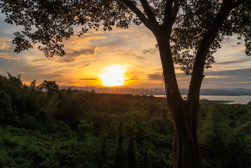 Sunrise stock photo. Image of trees, landscape, river - 101394362
