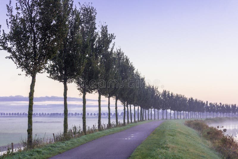 Sunrise Landscape with Trees Lining a Road Going Off into Distance ...