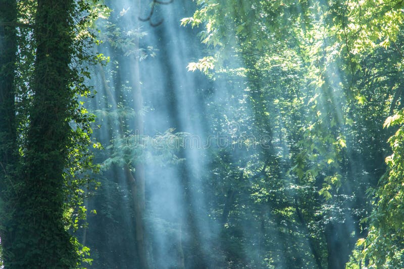 Sunrise Light Nature and Mist Stock Photo - Image of altitude ...