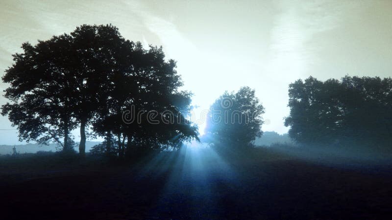 Sunrise Beaming - Version 1 Stock Photo - Image of rays, trees: 144266526