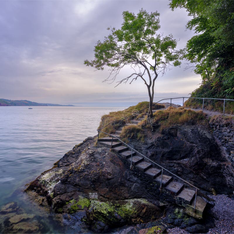 Sunrise at the Lone Tree on Babbacombe Beach, Near Torquay, Devon Stock ...
