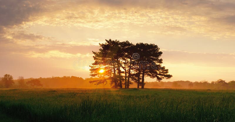 Sunrise Pictures With Trees