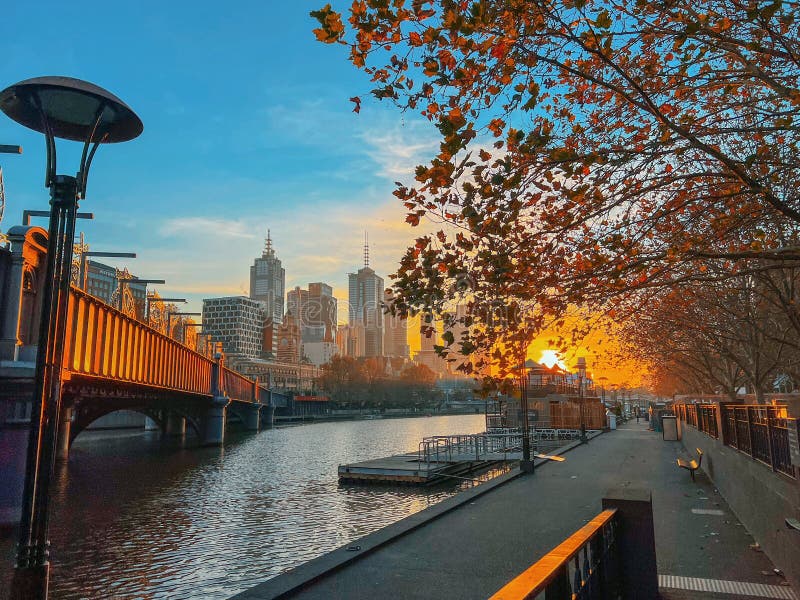 Sunrise in Melbourne editorial stock photo. Image of tree - 262811038