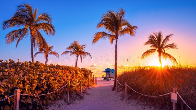 Miami beach stock image. Image of tropics, purple, tower - 269507657