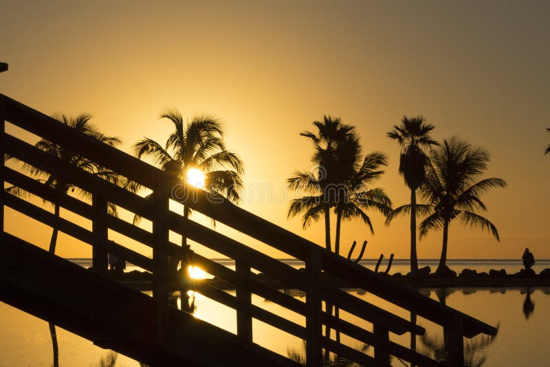 Sunrise in Miami stock image. Image of clearwater, water - 49278127