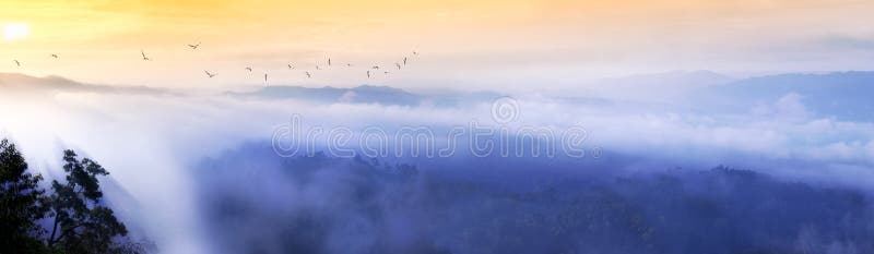 Sunrise and mist stock photo. Image of agriculture, bangkok - 22869264
