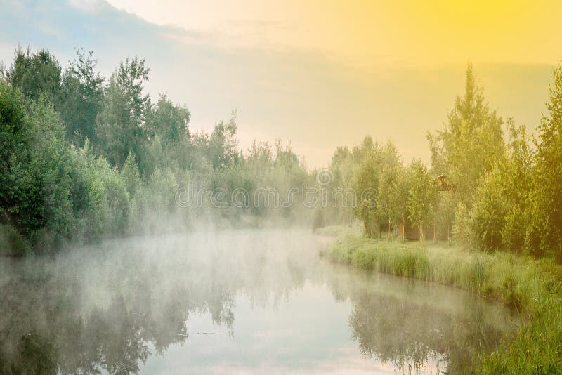 Sunrise with Mist Over a Lake at the Wetlands Stock Image - Image of ...