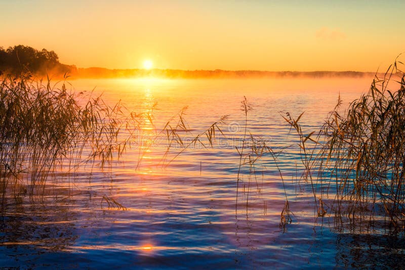 Sunrise misty lake stock photo. Image of colorful, colors - 60553092