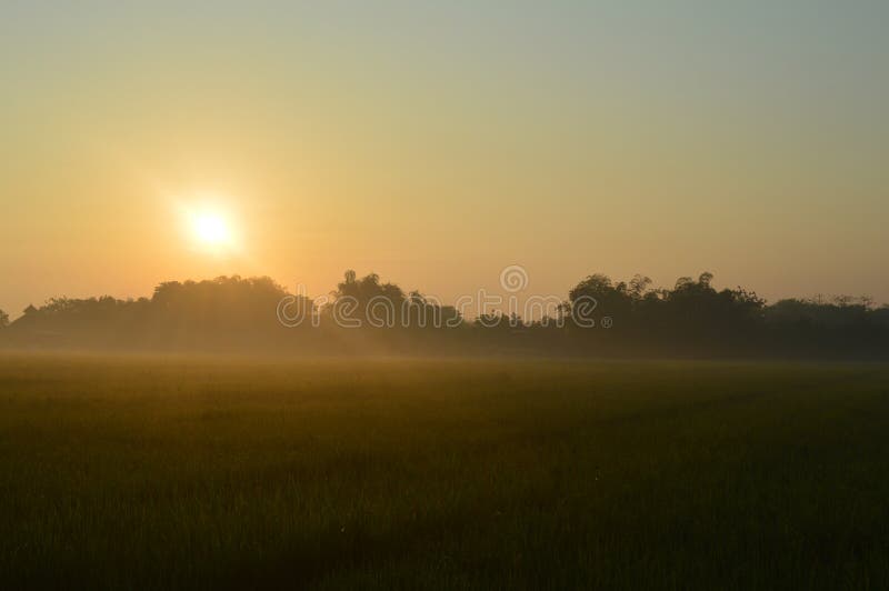 Sunrise in the morning stock photo. Image of nature - 227383044