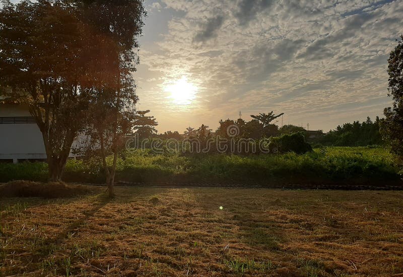 Sunrise in the Morning from Backyard Stock Image - Image of grass ...