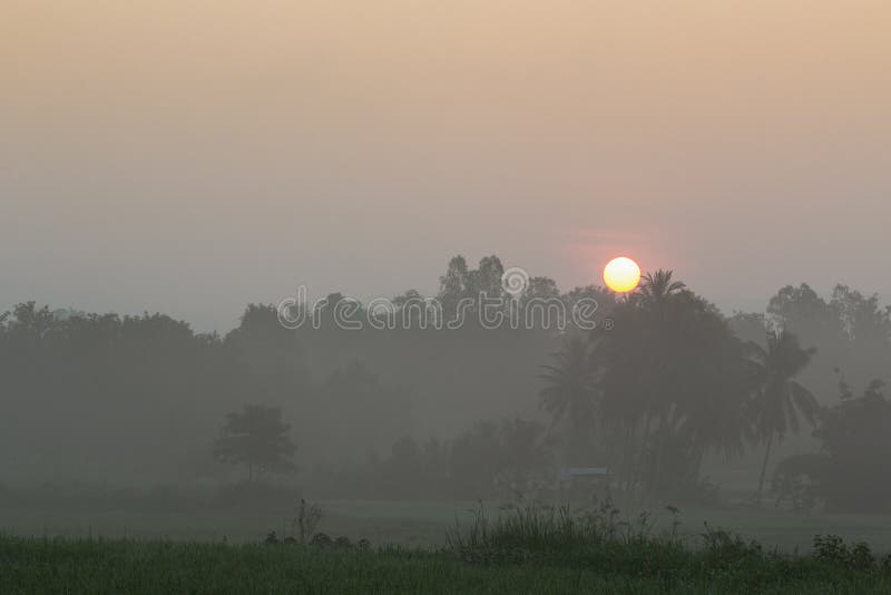 Sunrise in Morning with Smoke Stock Image - Image of growing ...