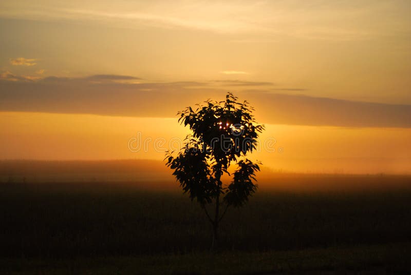 Sunrise in the Morning,sunrise in the Field Stock Image - Image of ...