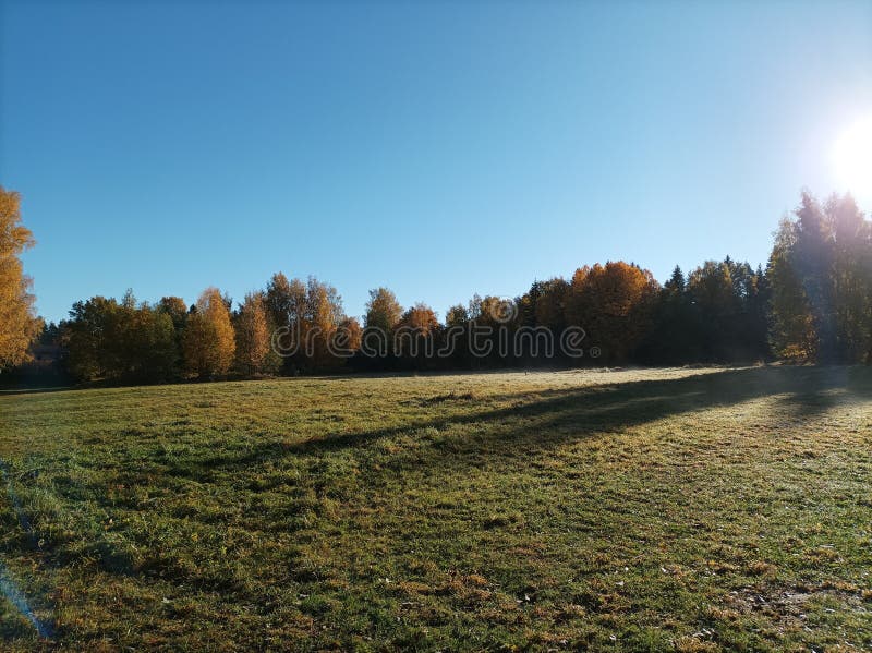 Morning Due in Trees - Cold Breeze Stock Photo - Image of adventure ...