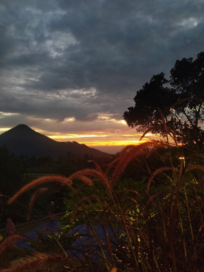 Sunrise in Mountain Trawas City Sunset Tree Sky Awan Stock Image ...